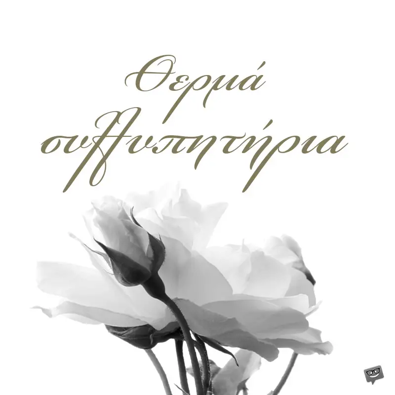 Συλλυπητήριά | 40 Ευχές για μια Απώλεια