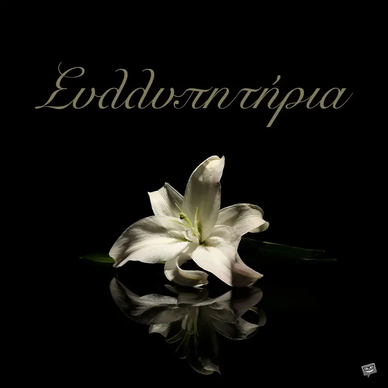 Συλλυπητήριά | 40 Ευχές για μια Απώλεια