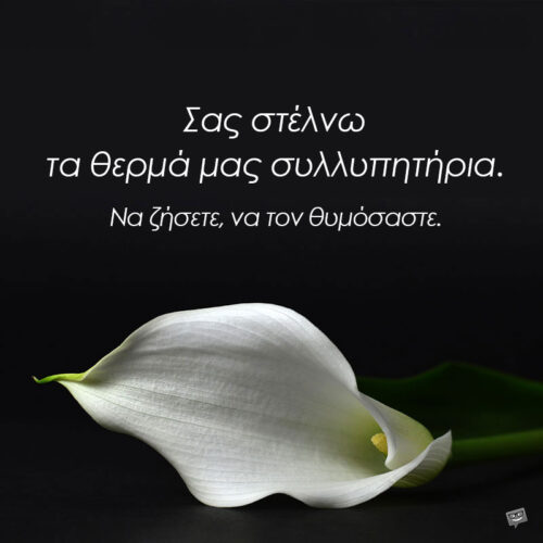 Συλλυπητήριά | 40 Ευχές για μια Απώλεια