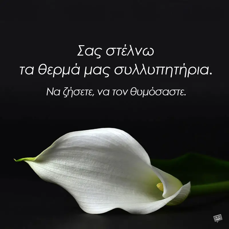 Συλλυπητήριά | 40 Ευχές για μια Απώλεια