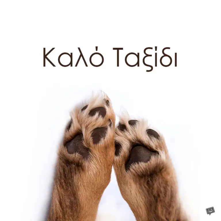 Συλλυπητήριά | 40 Ευχές για μια Απώλεια
