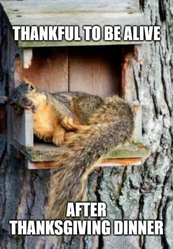 25 Thanksgiving Memes for Grateful Laughs