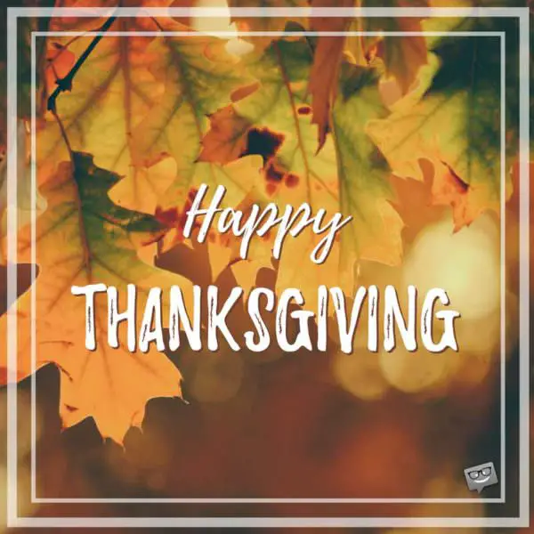 80+ Happy Thanksgiving Wishes and Messages of Real Gratitude