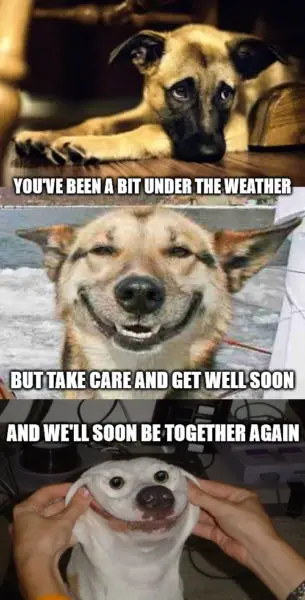 Get Well Soon! | 99 Messages for a Speedy Recovery