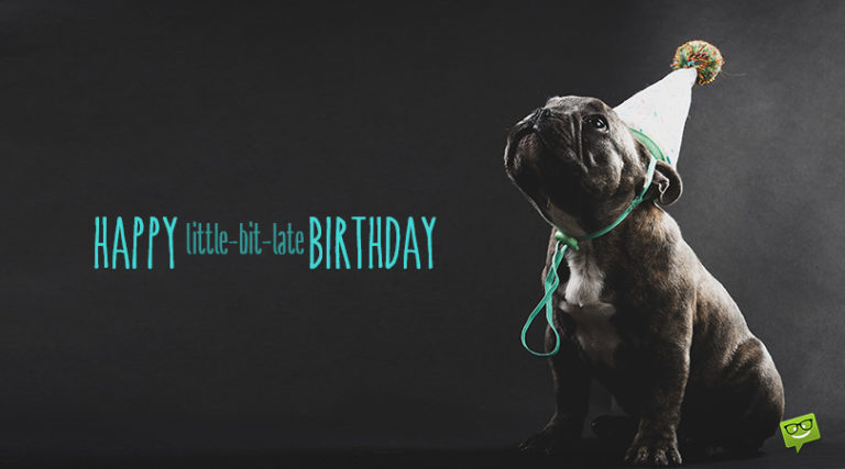 12 Cute and Funny Birthday Videos to Share with Friends+Family