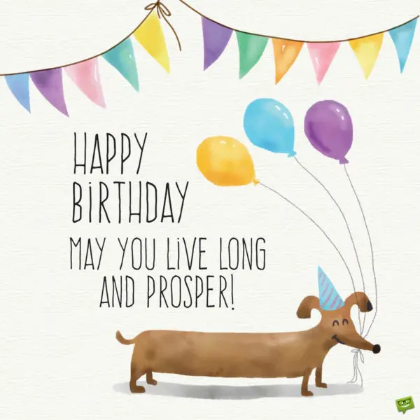 130+ Funny Birthday Wishes for your Friends' LOL Messages