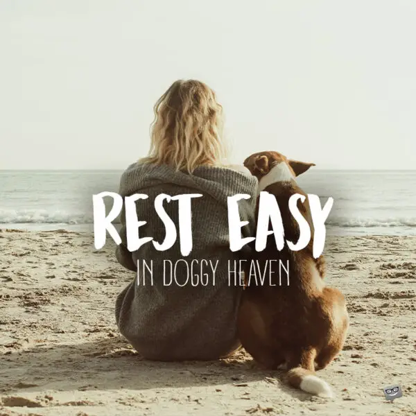 40 Goodbye Messages for a Dog Who Passed Away: A Tribute