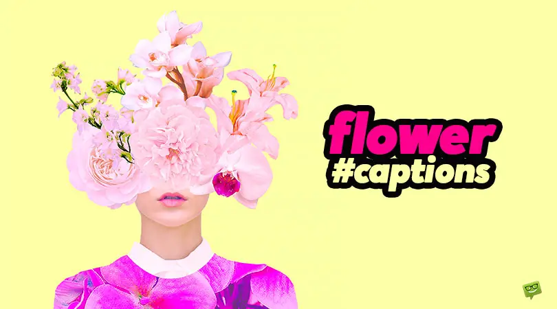 55+ Flower Captions to Make Your Instagram Posts Bloom