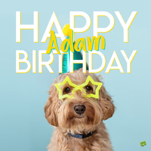Happy Birthday, Adam! | Wishes, Images and Memes for Him