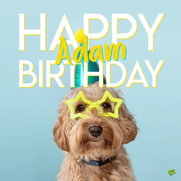 Happy Birthday, Adam! | Wishes, Images and Memes for Him