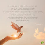 25 Biblical New Year Wishes to Give You Hope and Strength