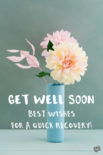 Get Well Soon! | 99 Messages for a Speedy Recovery