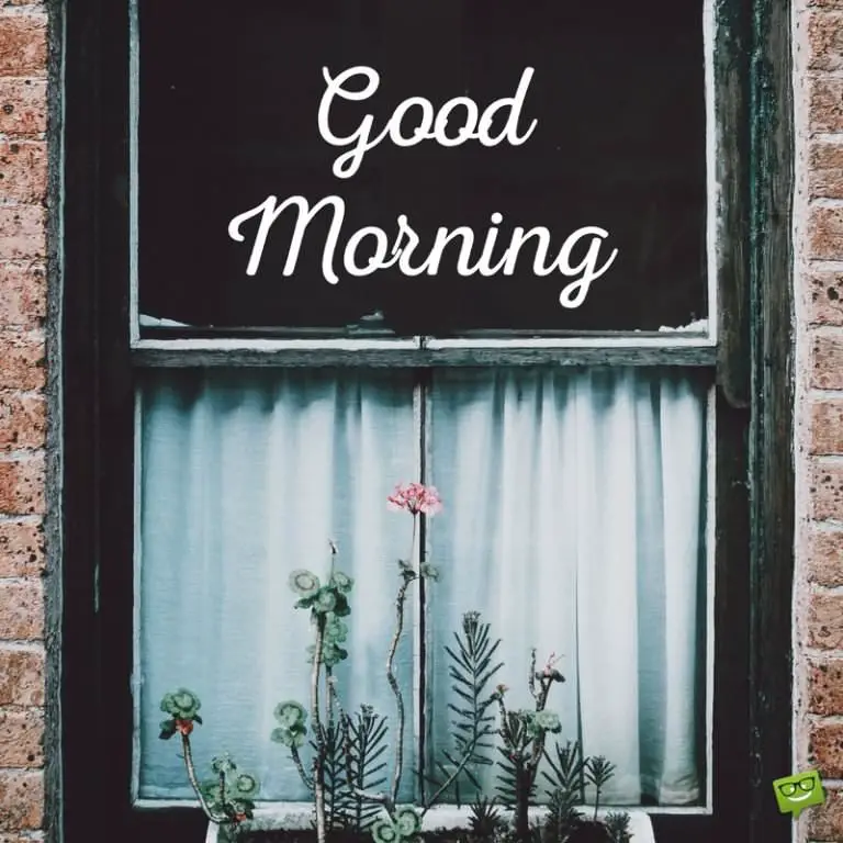 300 Uplifting Good Morning Images | Time to Start the Day!