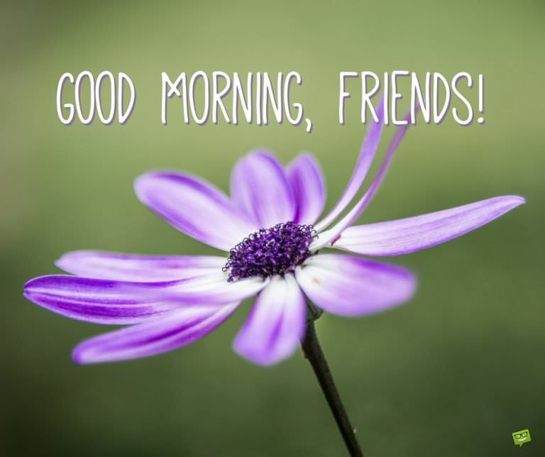 300 Uplifting Good Morning Images | Time to Start the Day!