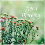 84 Motivational Good Morning Quotes for Your Work Day