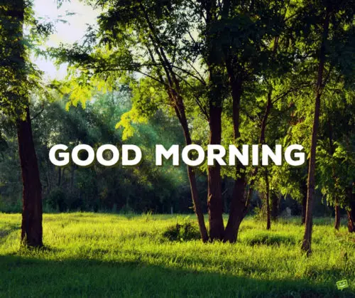 Start Your Day with a Smile – Floral Cards