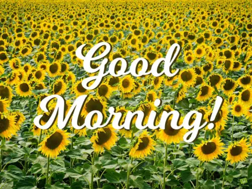 Start Your Day with a Smile – Floral Cards