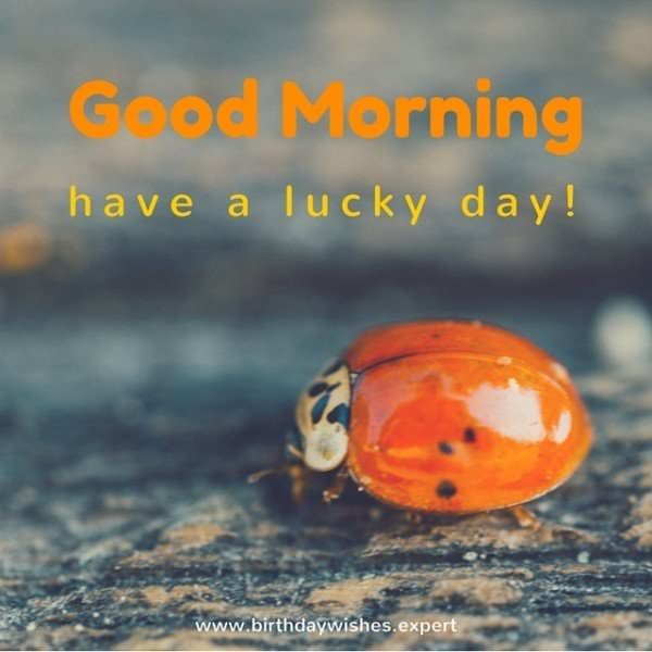 Good Morning Good Luck Messages at Maria Vitagliano blog