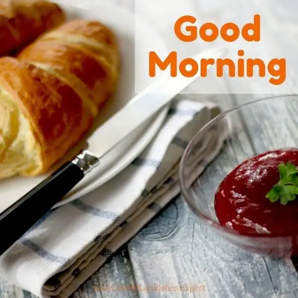 150+ Fresh Inspirational Good Morning Quotes for the Day