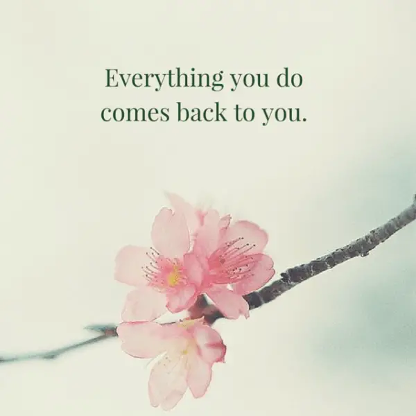 38 Life Quotes to Make you Stronger