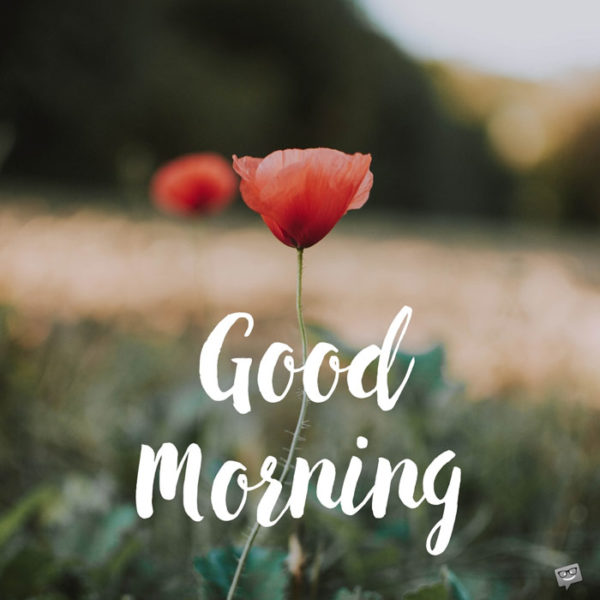 300 Uplifting Good Morning Images | Time to Start the Day!