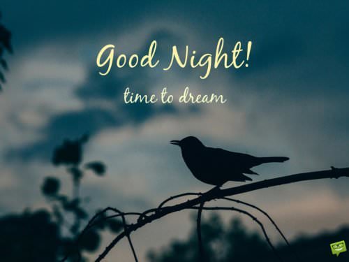 Have a Good Night! | 75 Goodnight Texts and Images to Share