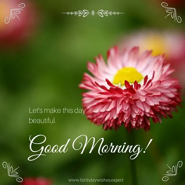 45 Uplifting Good Morning Images | Time to Start the Day!