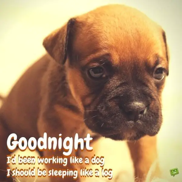 Good Night Images | Like a Kiss Goodnight