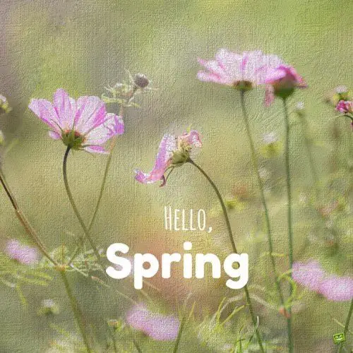 Hello Spring Quotes to Celebrate the Coming of Spring