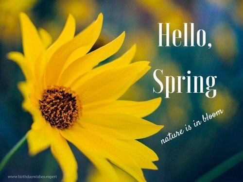 Hello Spring Quotes to Celebrate the Coming of Spring
