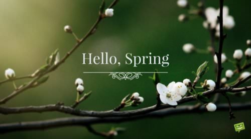 Hello Spring Quotes to Celebrate the Coming of Spring