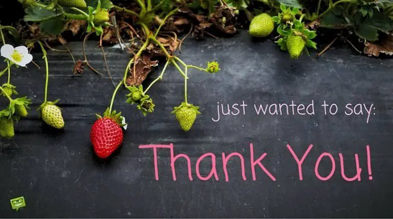 Thank you Images | Pictures to Help Express your Gratitude