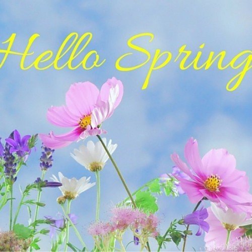 Hello Spring Quotes to Celebrate the Coming of Spring