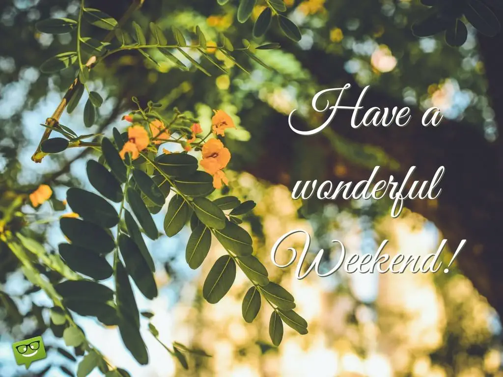 Have a Nice Weekend | Beautiful Weekend Quotes Have a Nice Weekend | Beautiful Weekend Quotes