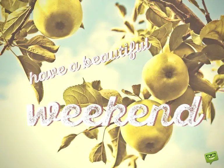 Work Hard, Play Hard: 50 Inspiring Quotes to Start your Weekend Right