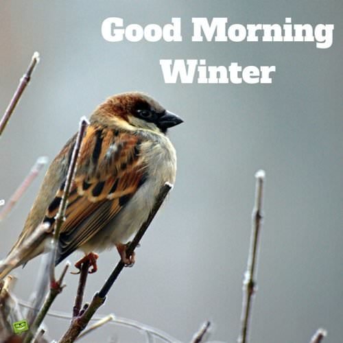 Hello, Winter! Quotes and Images to Share
