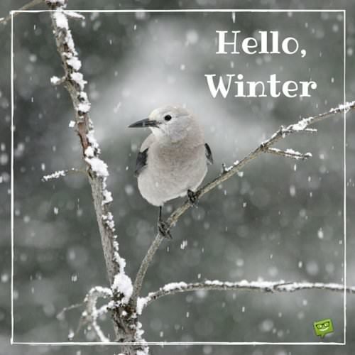 Hello, Winter! Quotes and Images to Share