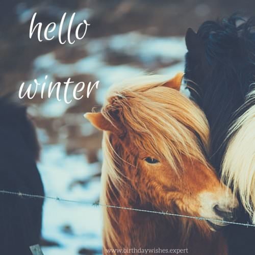 Hello, Winter! Quotes and Images to Share