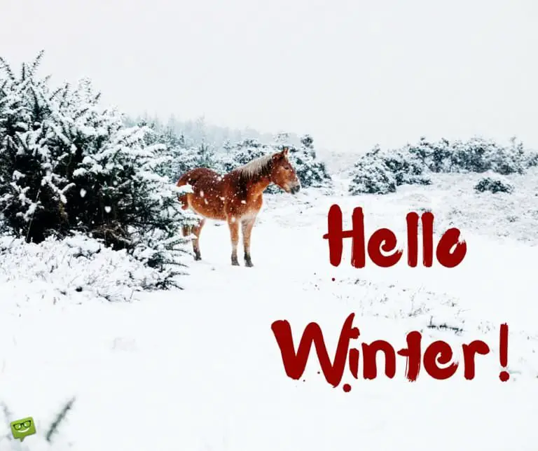 Hello, Winter! Quotes and Images to Share