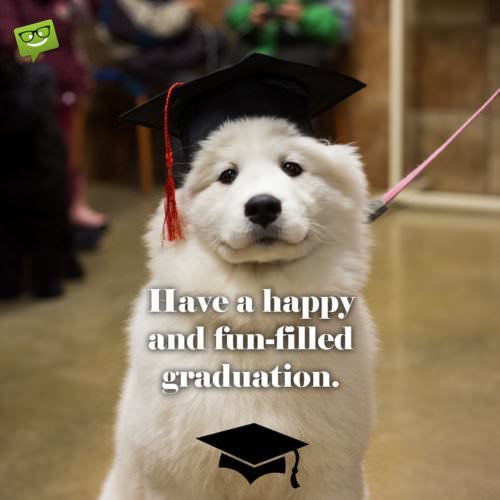 100 Graduation Wishes | You Totally Deserve This!