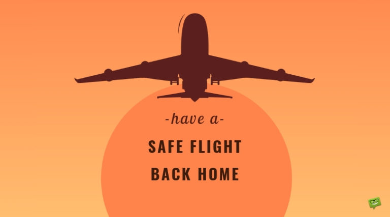60 Safe Flight Wishes to Help Them Fly and Land Safely