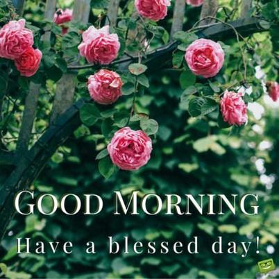 Good Morning Friends Have A Blessed Day