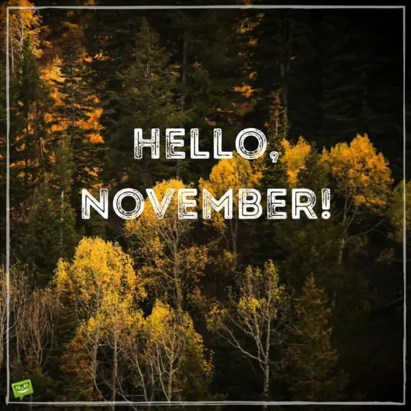 Hello, November! | Quotes for the Month of Gratitude