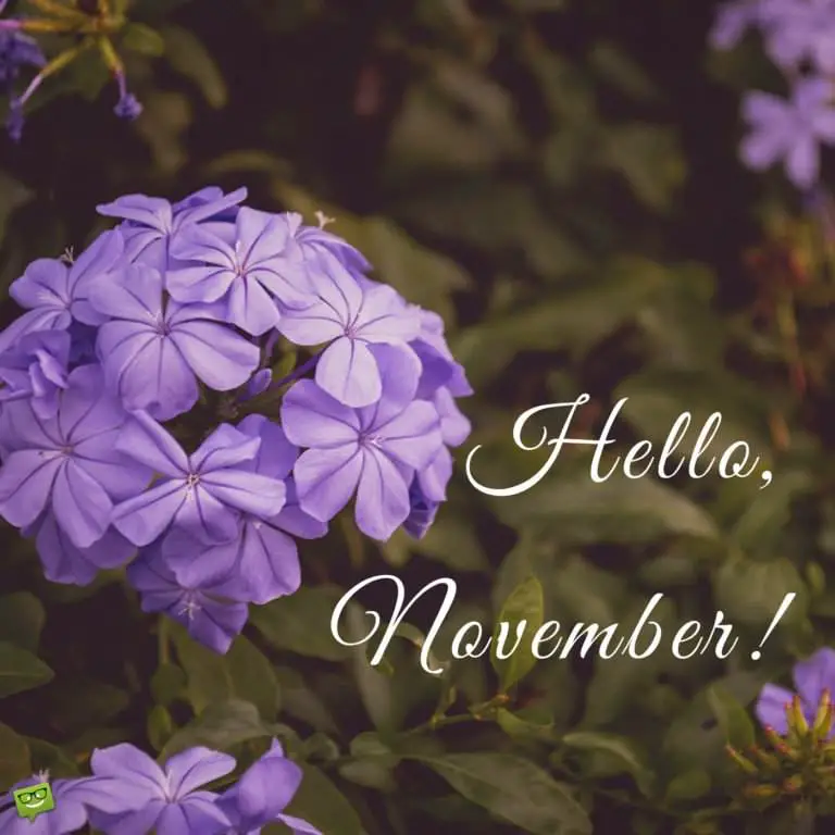 Hello, November! | Quotes for the Month of Gratitude