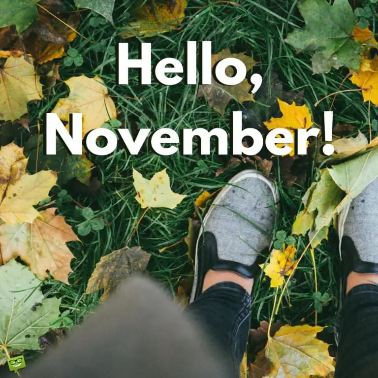 Hello, November! | Quotes for the Month of Gratitude
