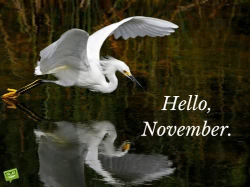 Hello, November! | Quotes for the Month of Gratitude