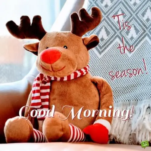 Good Morning & Merry Christmas | Celebration Time is Here!
