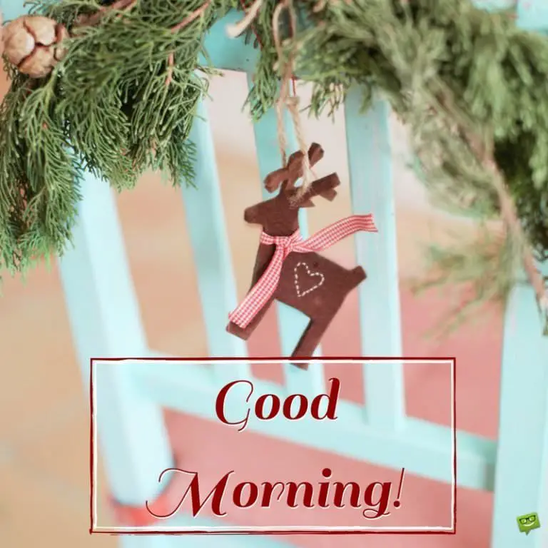 Good Morning & Merry Christmas | Celebration Time is Here!