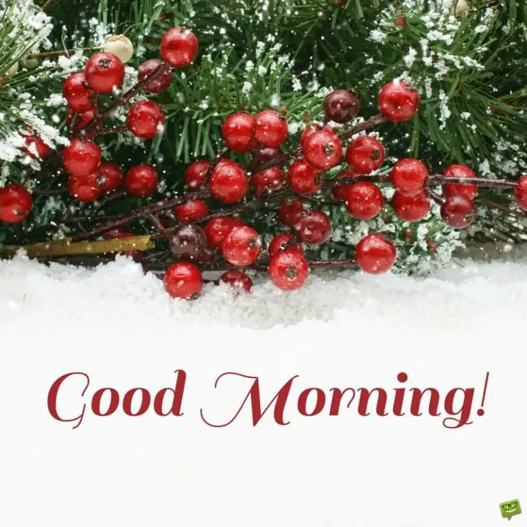 Good Morning & Merry Christmas | Celebration Time is Here!