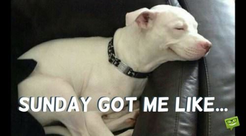 50 Happy and Inspirational Sunday Quotes A Day Well Spent